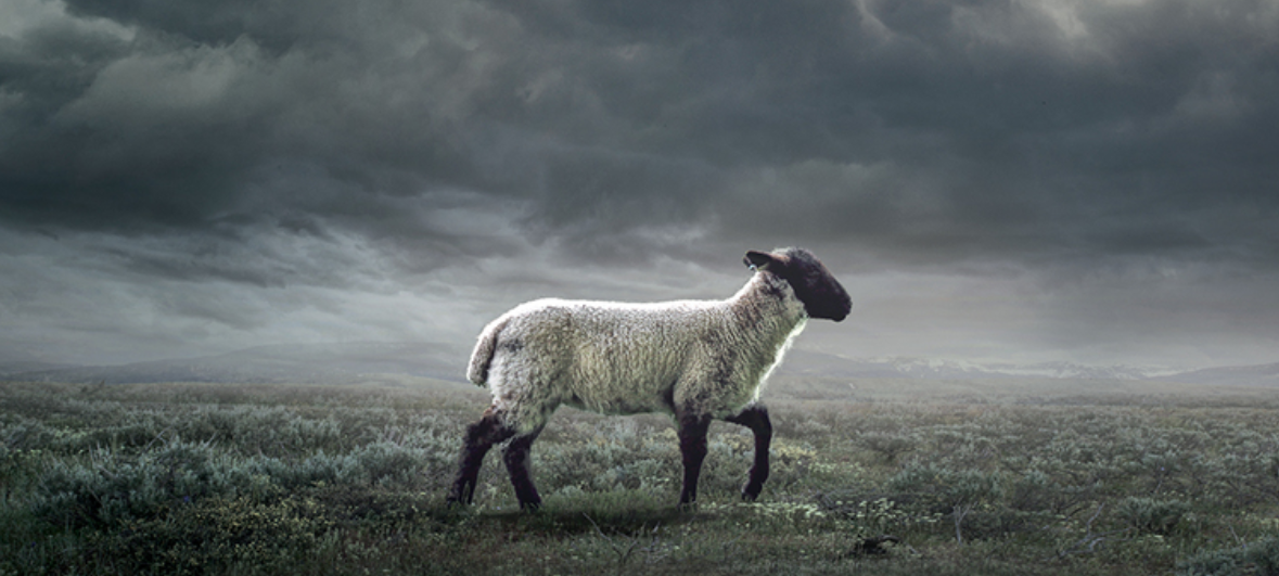 The Bible + Culture Archives - BibleMesh