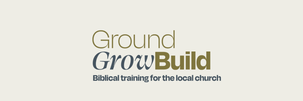 Biblical Training For Churches | BibleMesh Institute